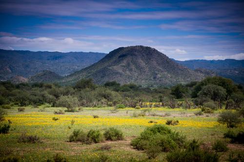 Money Tur - Viajes a medida